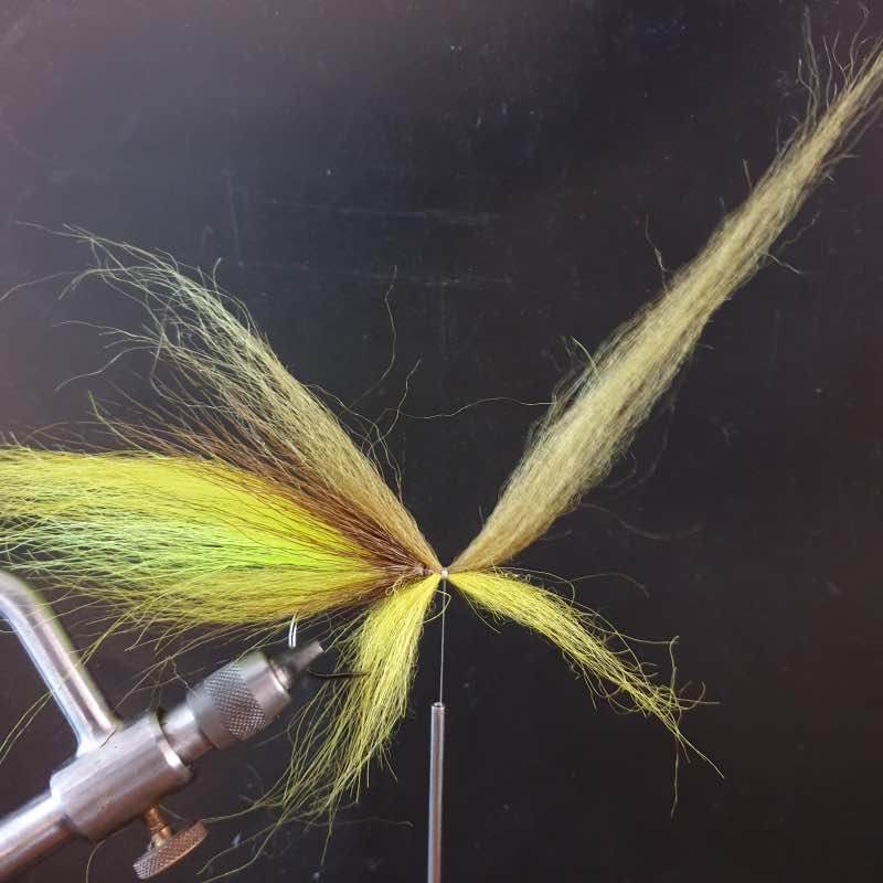 - Nayat Pike Streamer By Sander Zuidinga