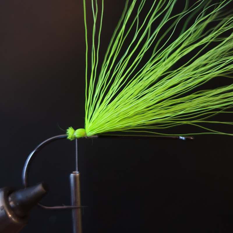 - Nayat Pike Streamer By Sander Zuidinga